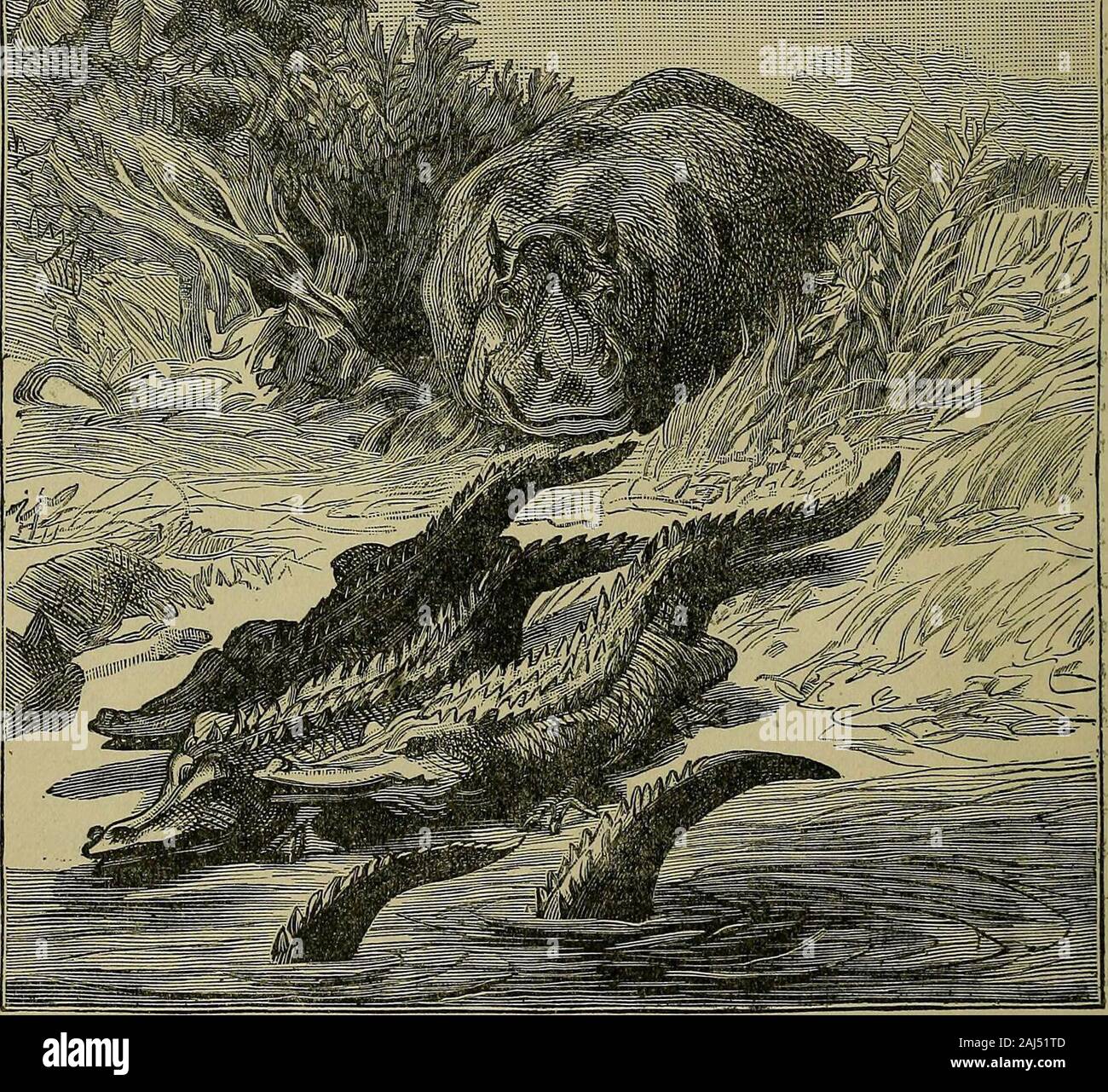 Belaboring hi-res stock photography and images - Alamy