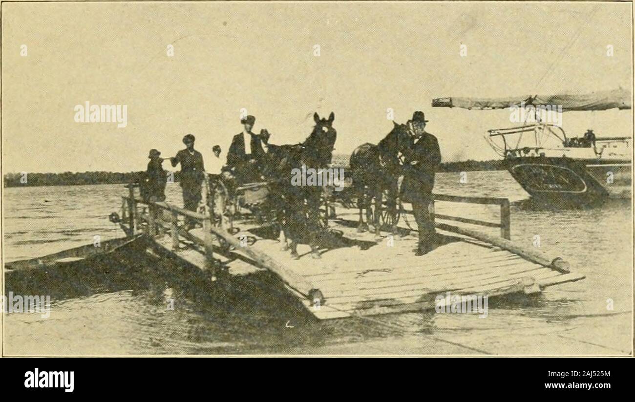 Life in old Virginia . blood. Their present chief, George M. Cook ...