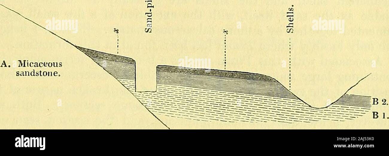 Mainzer becken hi-res stock photography and images - Alamy