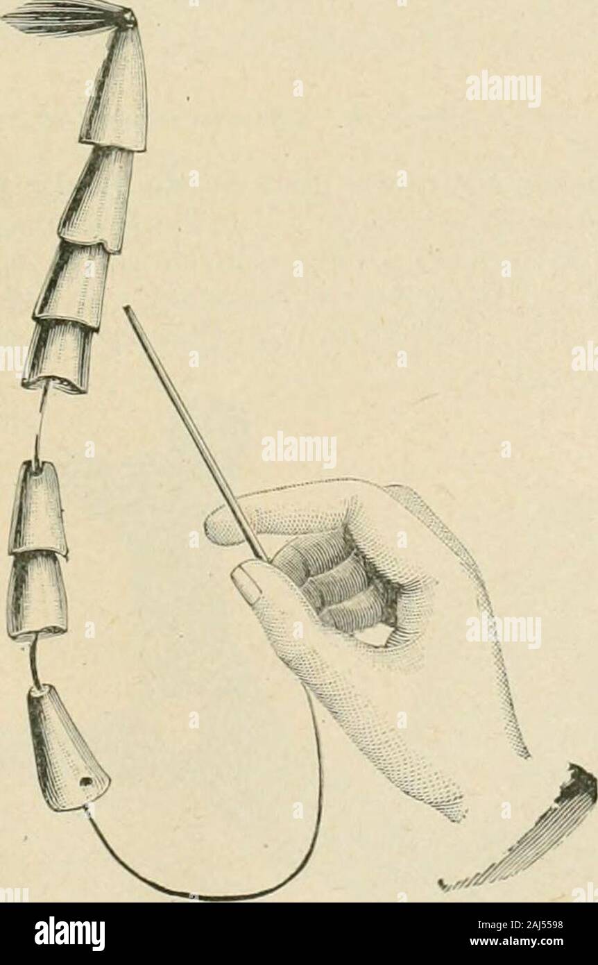 Wish bones hi-res stock photography and images - Alamy