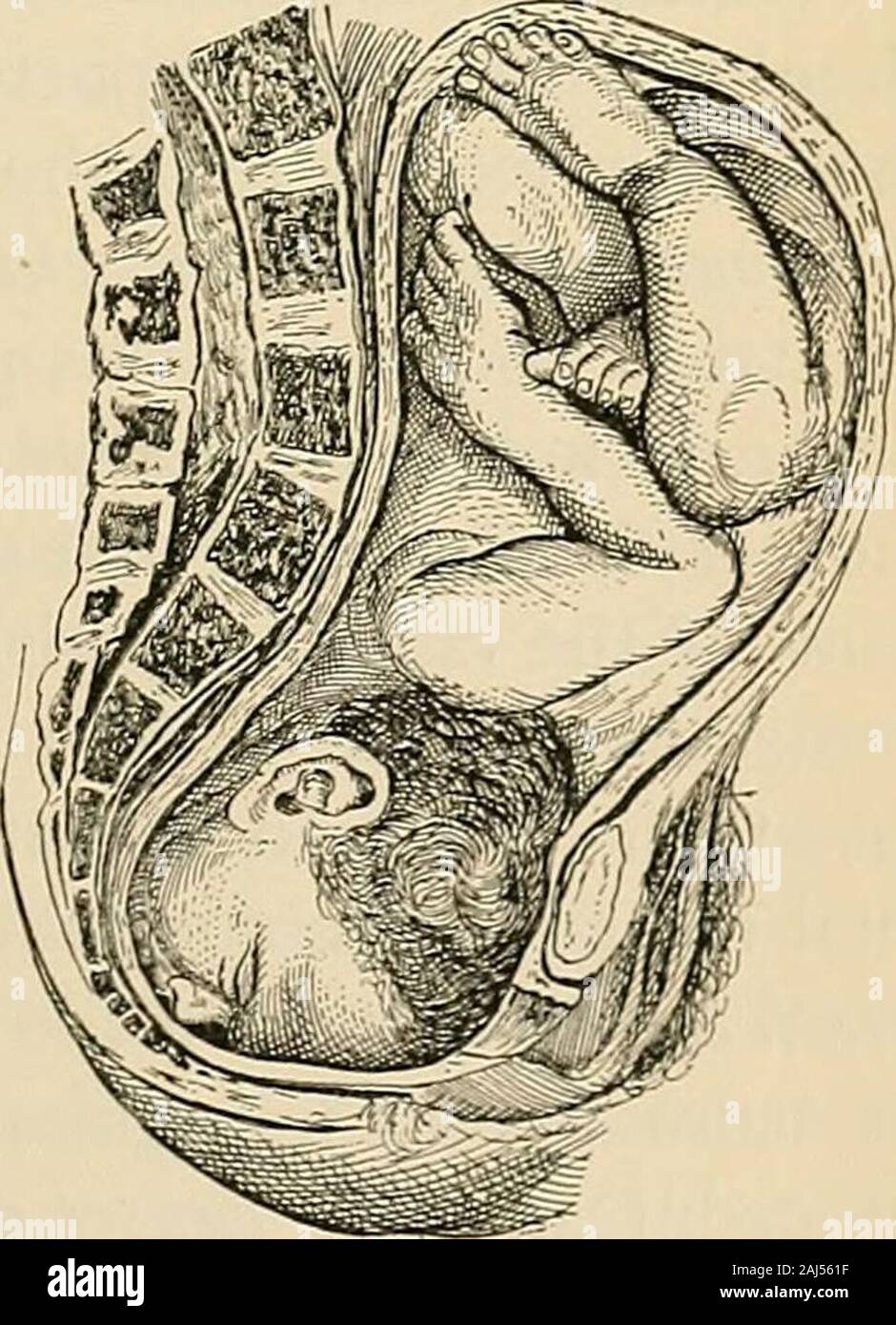 Vertex presentations hi-res stock photography and images - Alamy