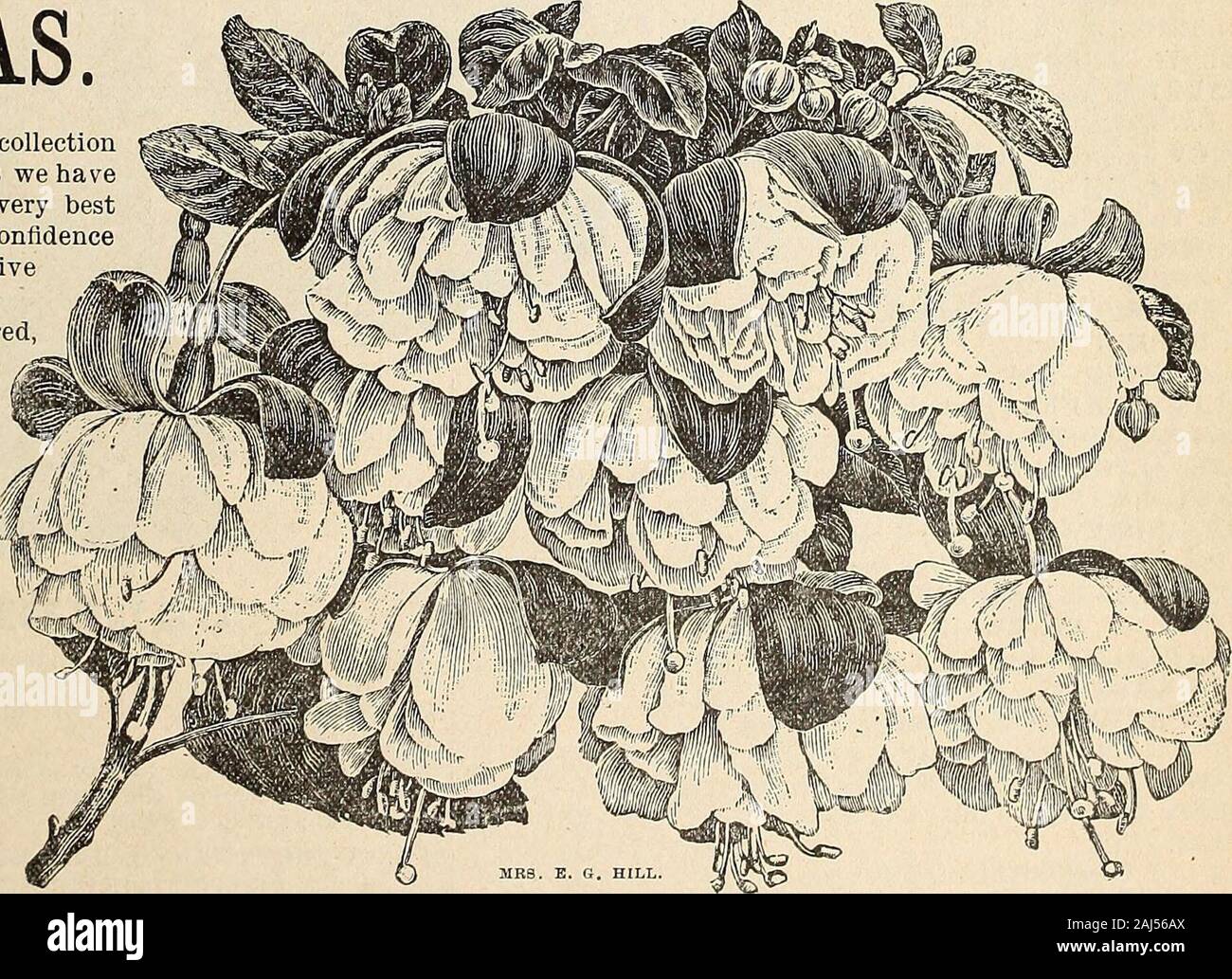 John goode hi-res stock photography and images - Alamy