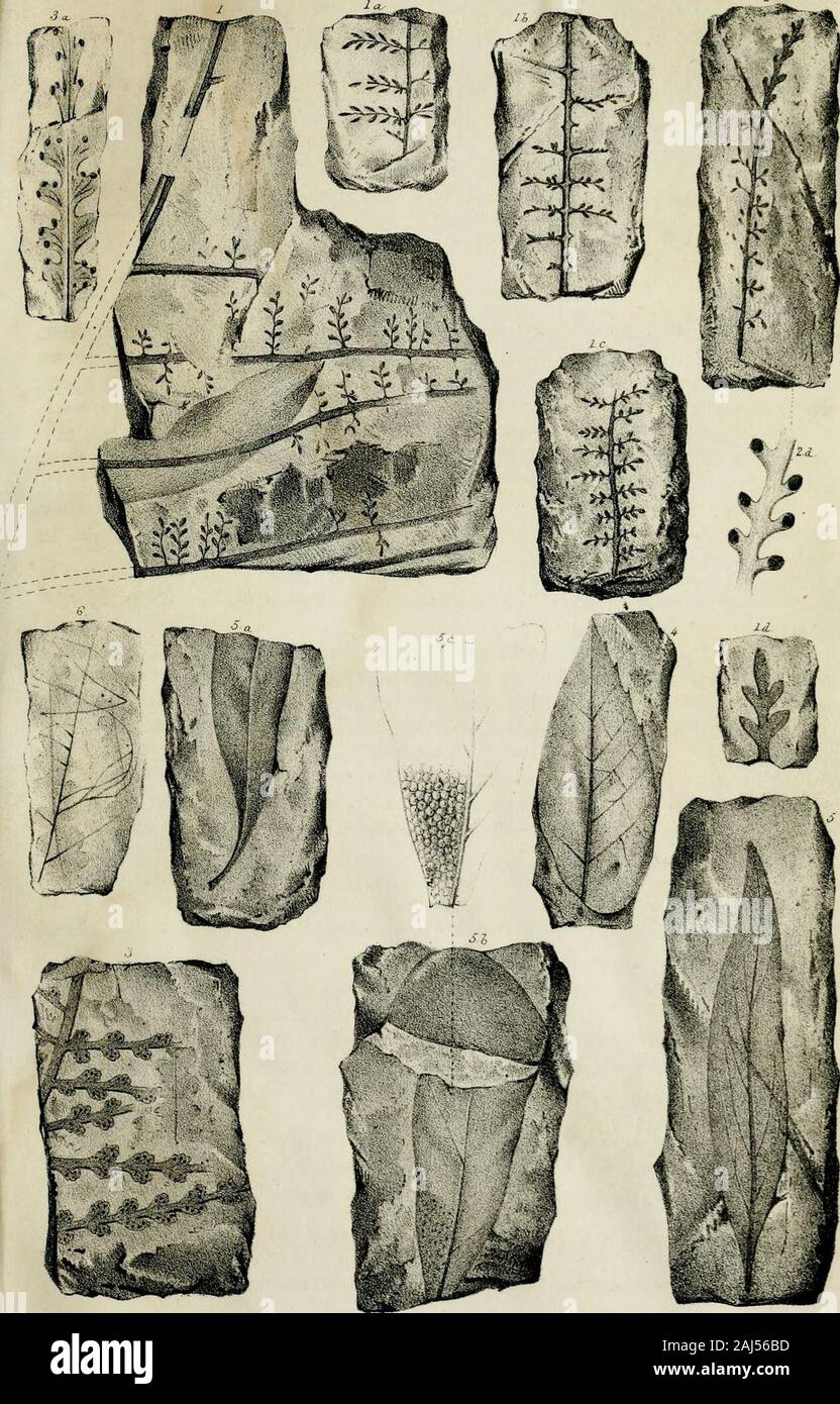 Modern_period hi-res stock photography and images - Alamy