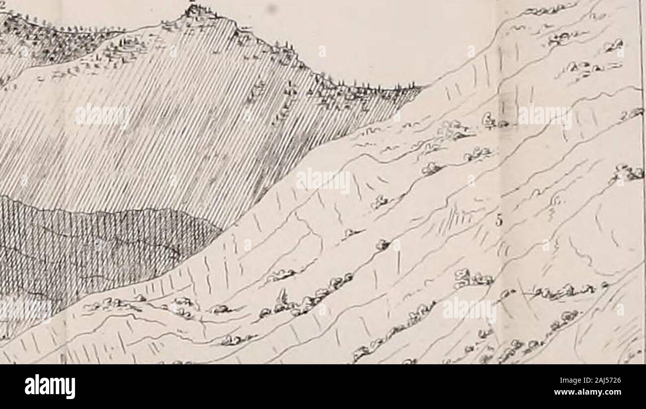 Spiu hi-res stock photography and images - Alamy