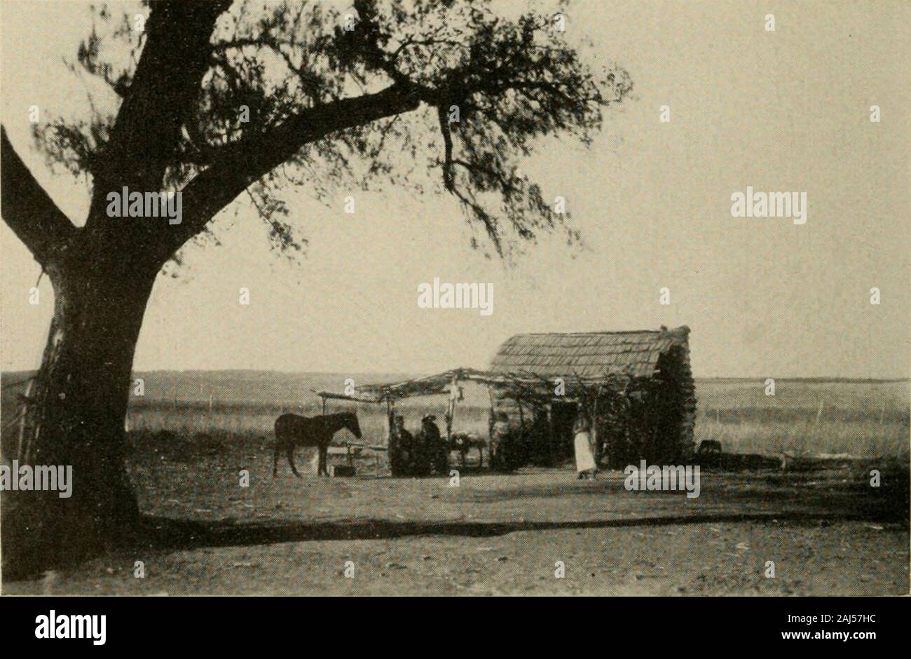 Caddo indian hi-res stock photography and images - Alamy