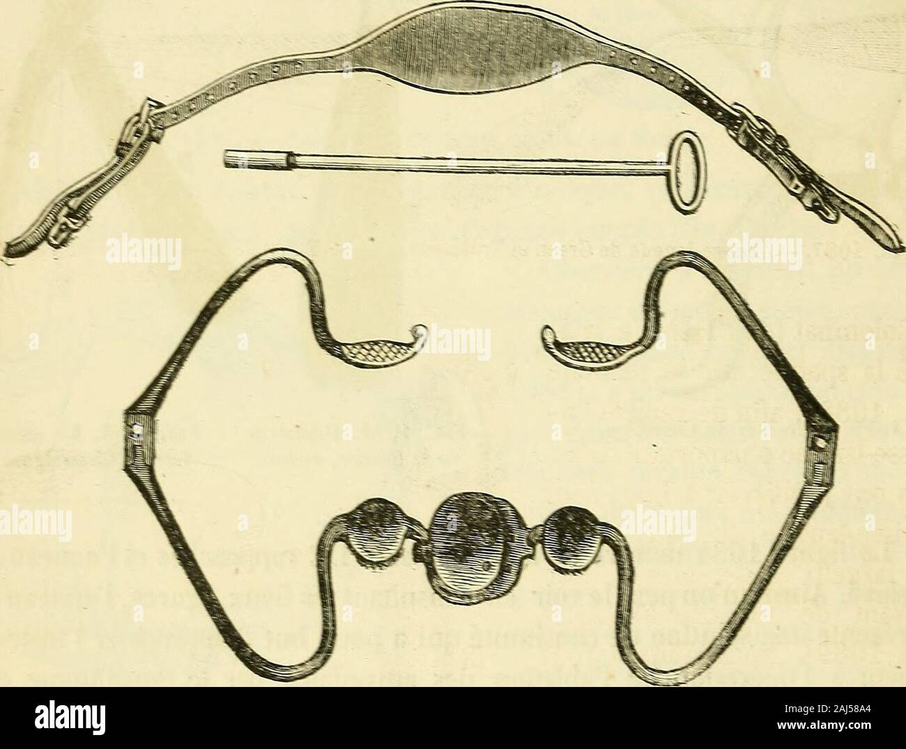 Dos relevé hi-res stock photography and images - Alamy