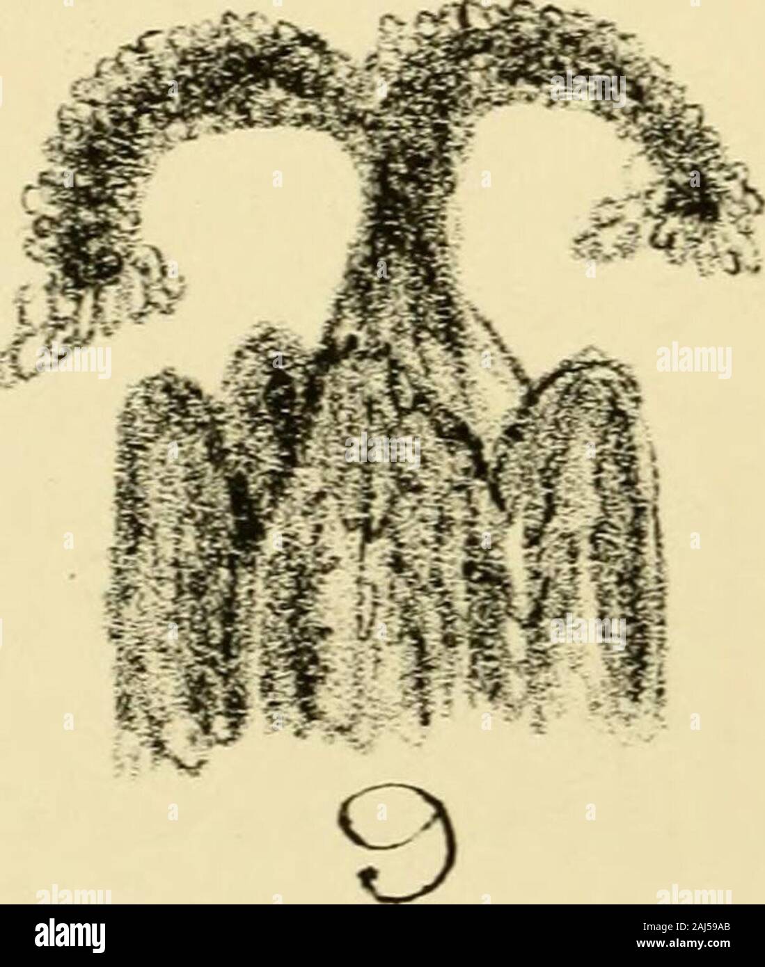 The Journal of microscopy and natural science Stock Photo - Alamy