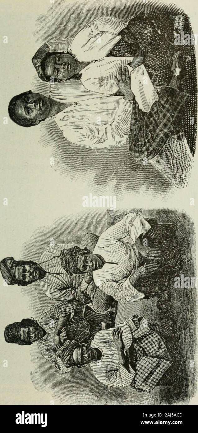 Mongoloid hi-res stock photography and images - Alamy