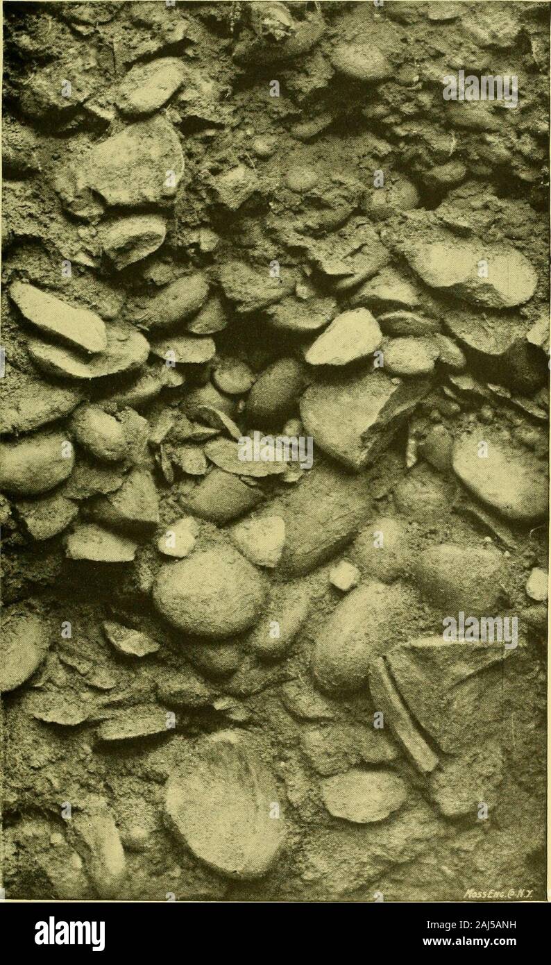 Quartzite rock fragment hi-res stock photography and images - Alamy