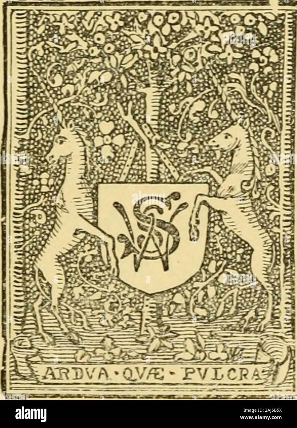 Moths spiders ants beetles hi-res stock photography and images - Alamy