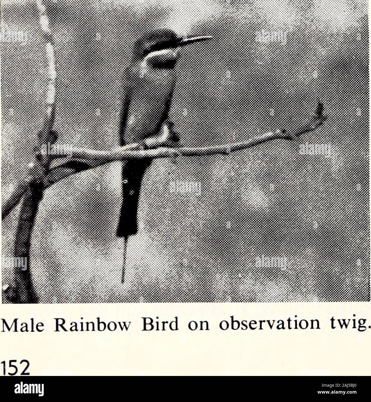 Warby ranges hi-res stock photography and images - Alamy