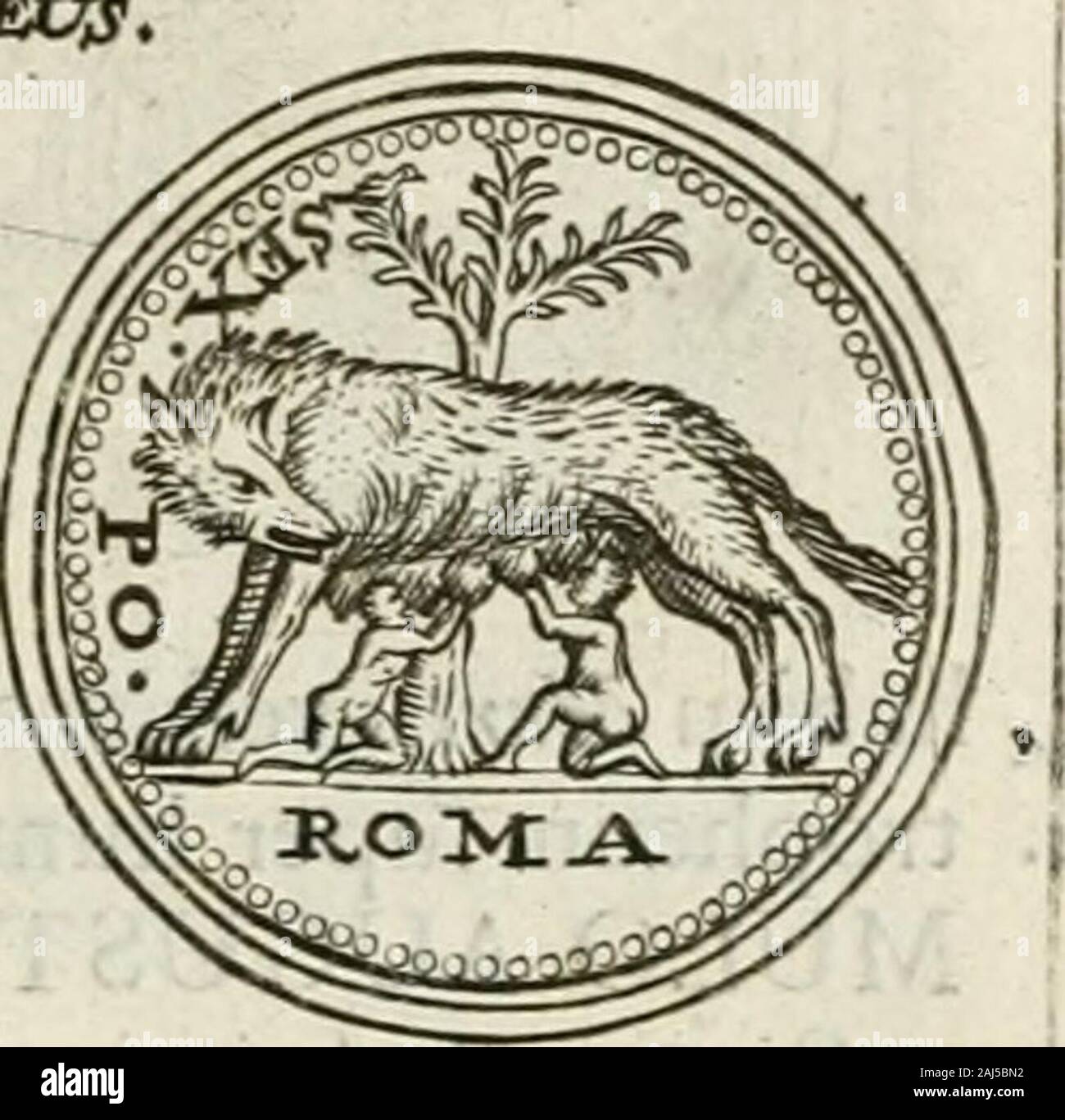 Veterum Romanorum Religio castrametatio, disciplina militaris ut ...