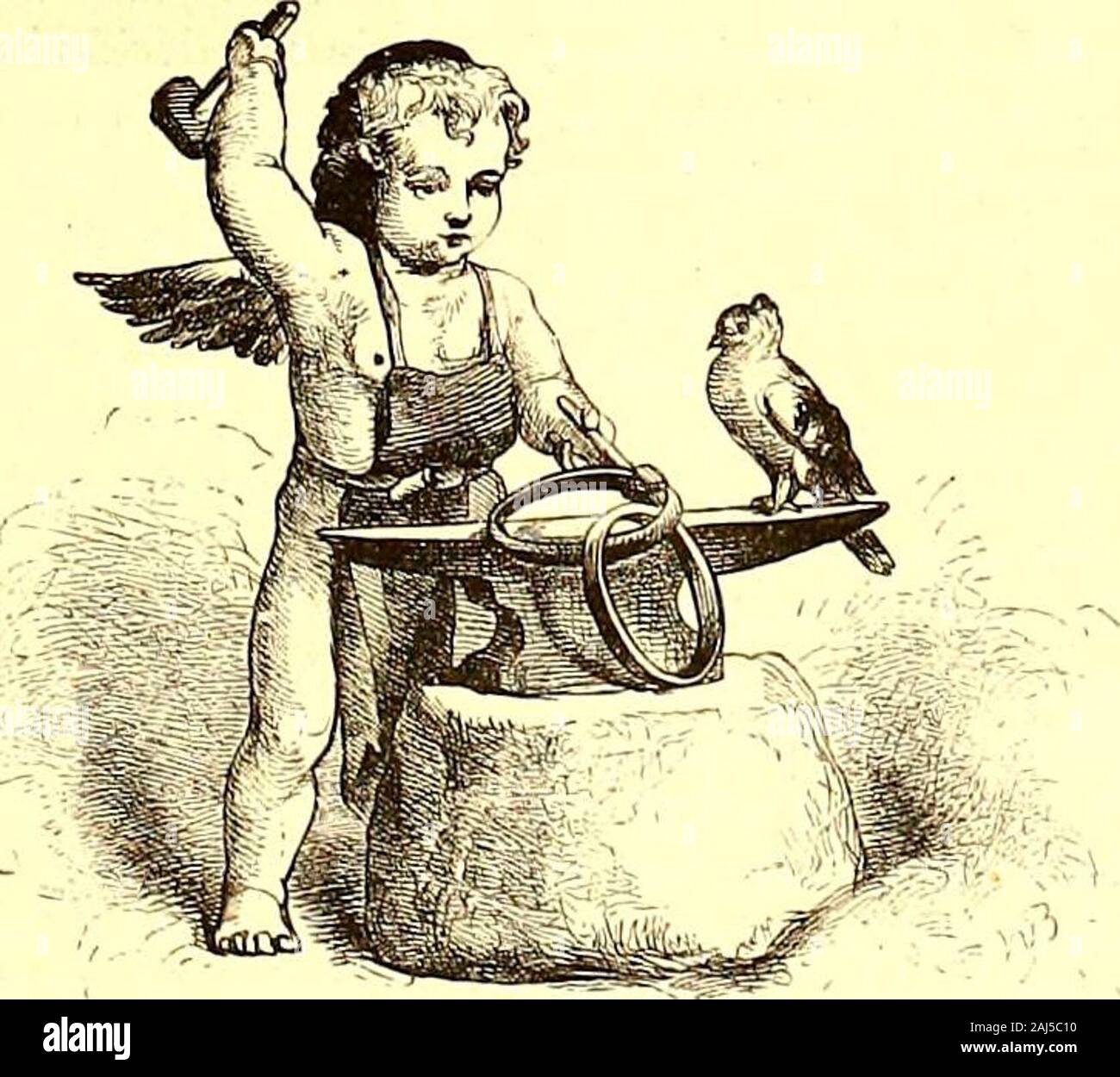 Ship procyon hi-res stock photography and images - Alamy