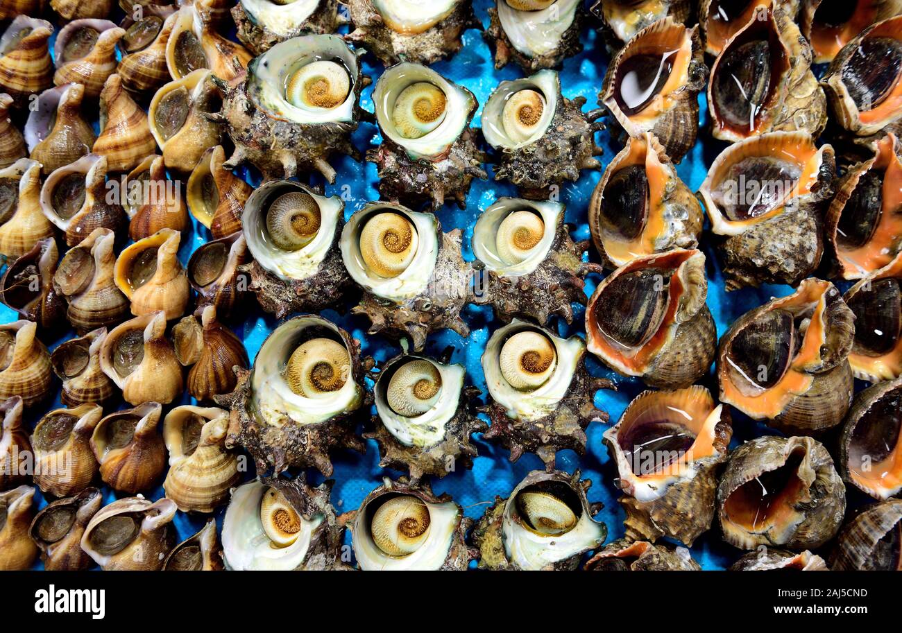 Korean Sea High Resolution Stock Photography and Images - Alamy