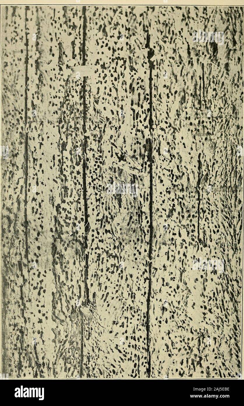 Palmer method hi-res stock photography and images - Alamy