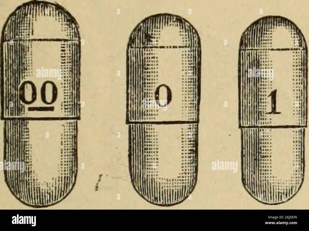 Organic materia medica : including the standard remedies of the leading ...