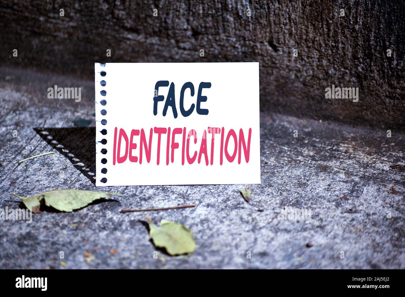 Handwriting text Face Identification. Conceptual photo analyzing ...