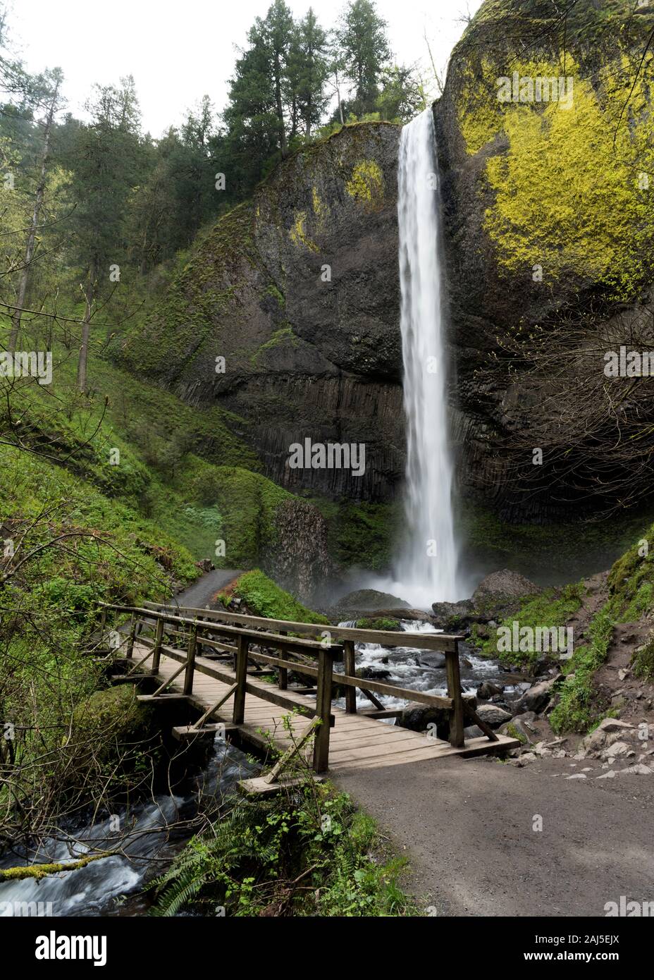 This is Latourell Falls, one of the Columbia Gorge’s many scenic ...