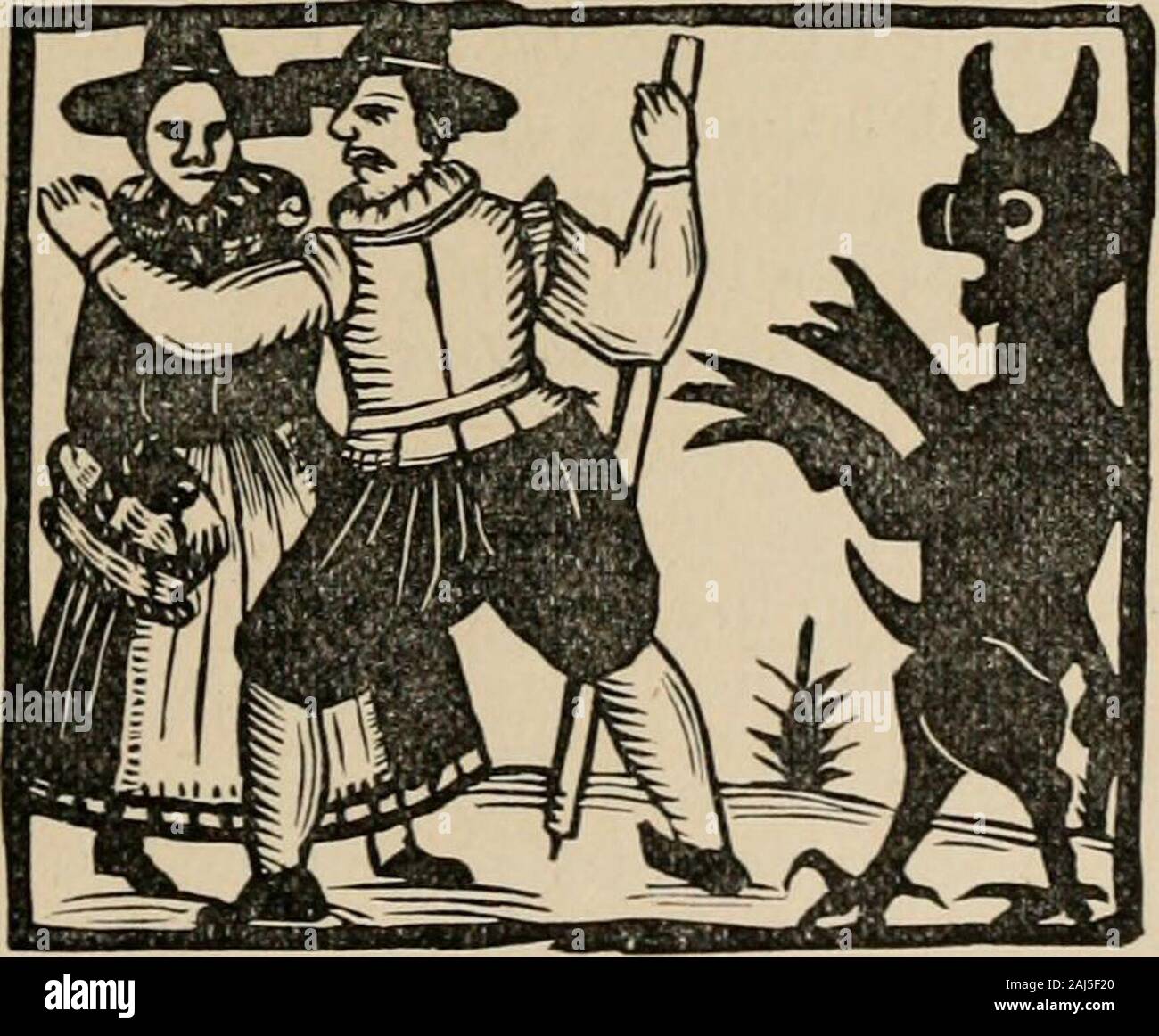 Devils coachman hi-res stock photography and images - Alamy