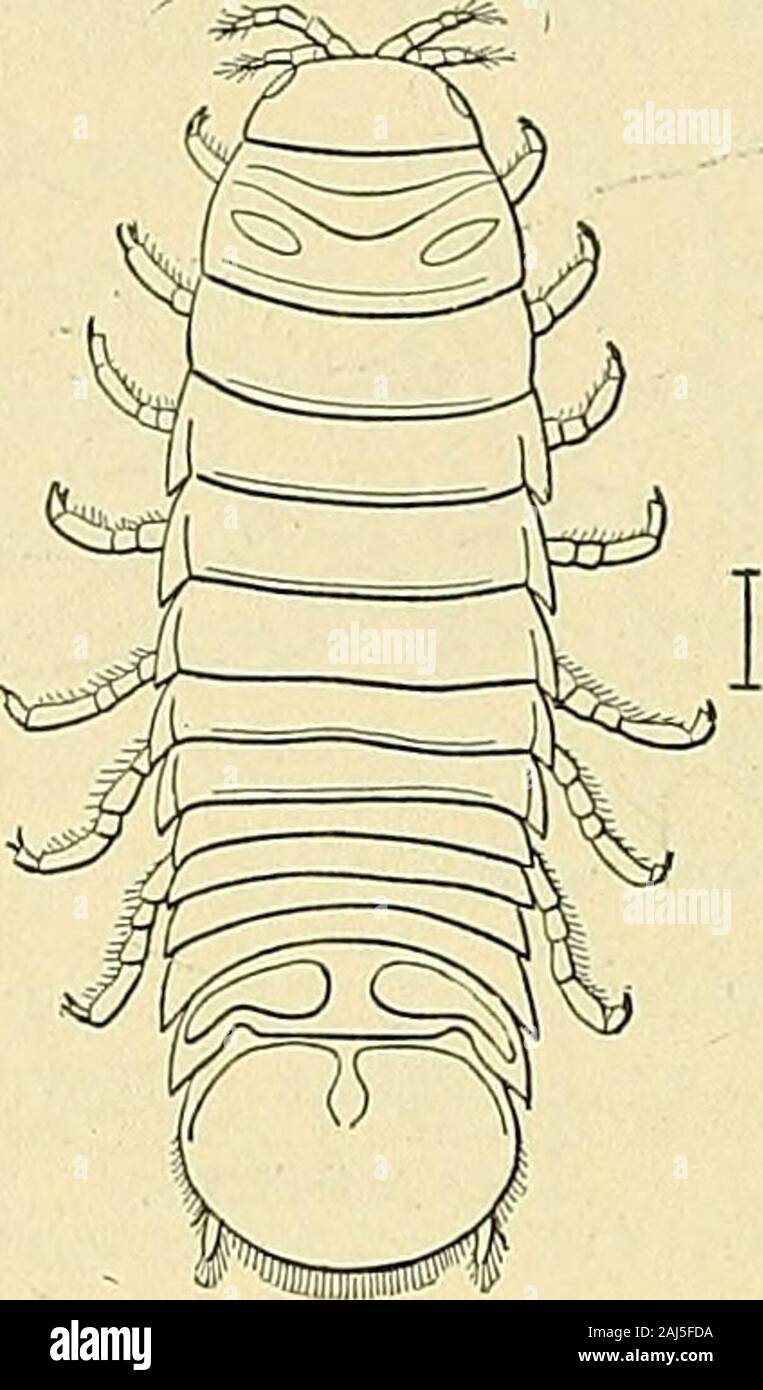 Submarine telegraph cables hi-res stock photography and images - Alamy