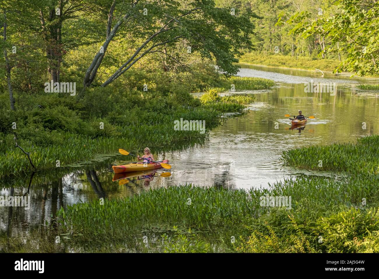 River environment hi-res stock photography and images - Alamy