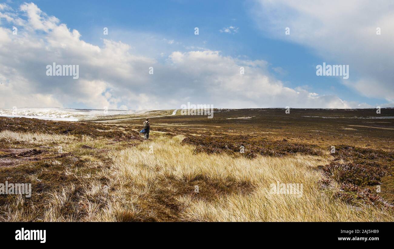 Flat, barren, windswept landscape and nature of East Falkland Island ...