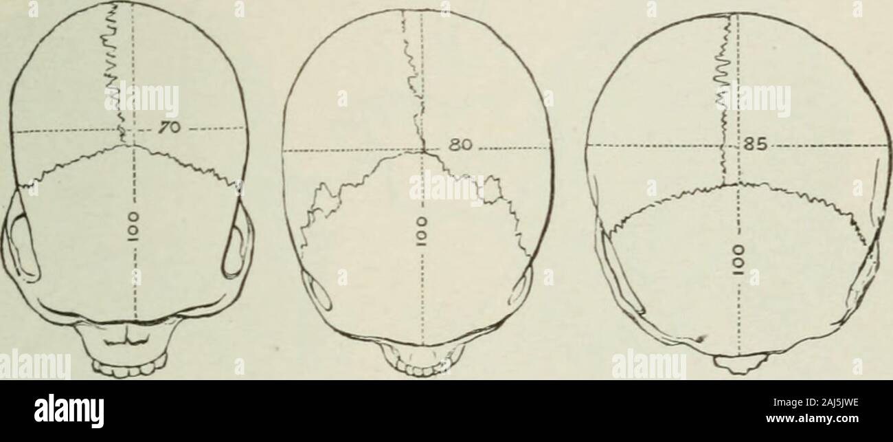 Anthropology; an introduction to the study of man and civilization ...