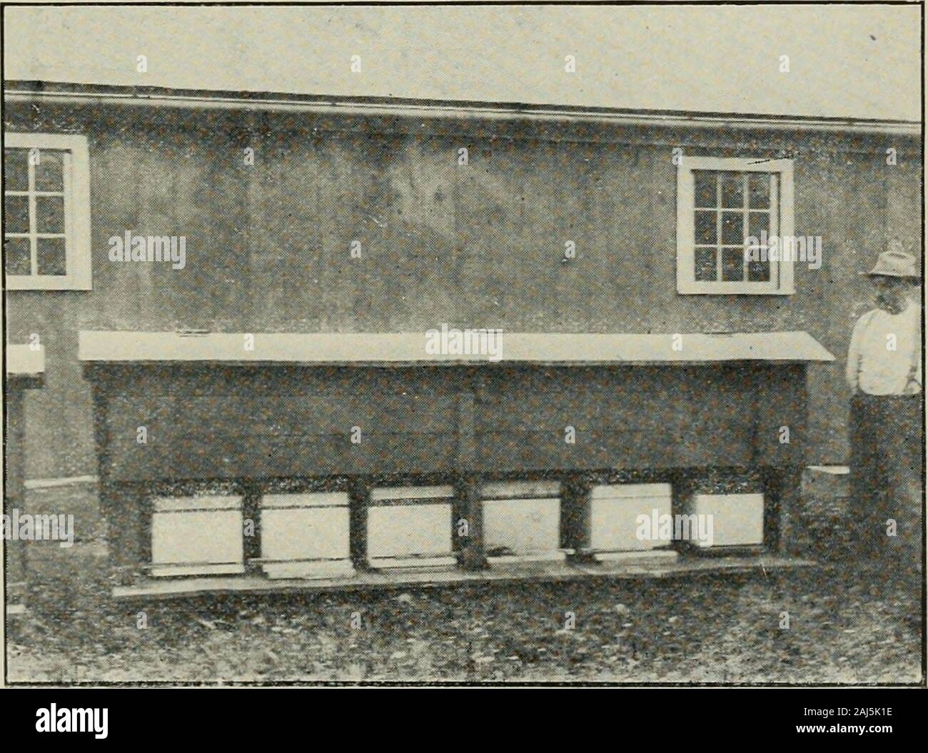 Movable hives hi-res stock photography and images - Alamy