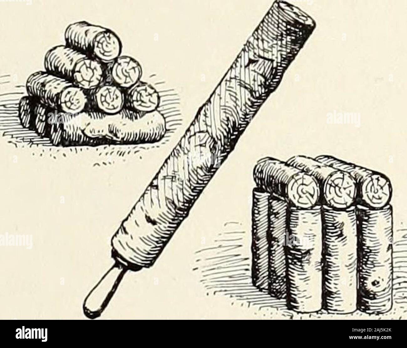 St Nicholas [serial] . DIAGRAM OF LAPTA GROUND. catching the ball ...