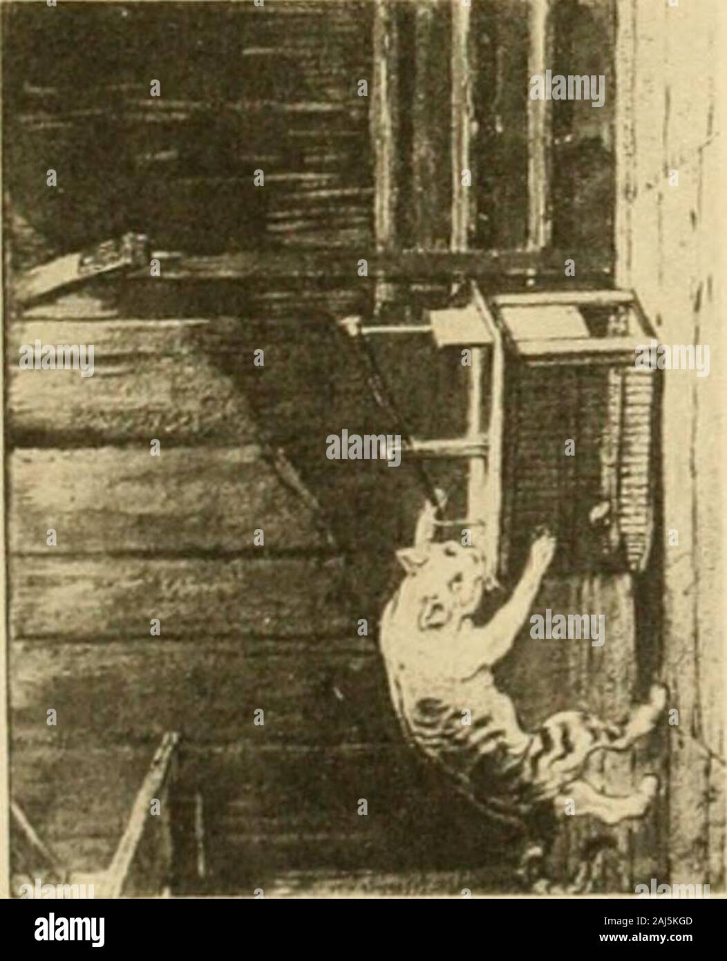 Les moeurs hi-res stock photography and images - Alamy