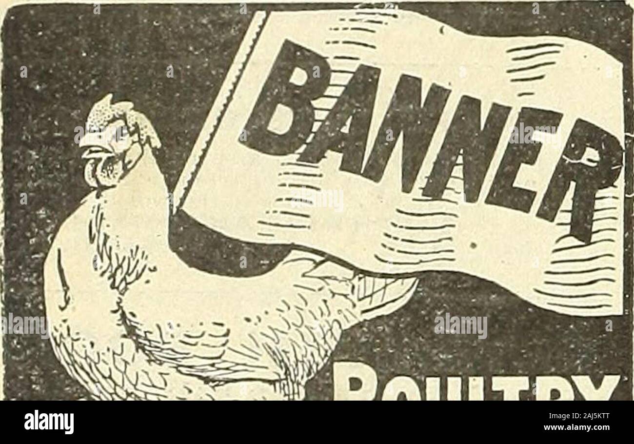 The only one barred out hi-res stock photography and images - Alamy