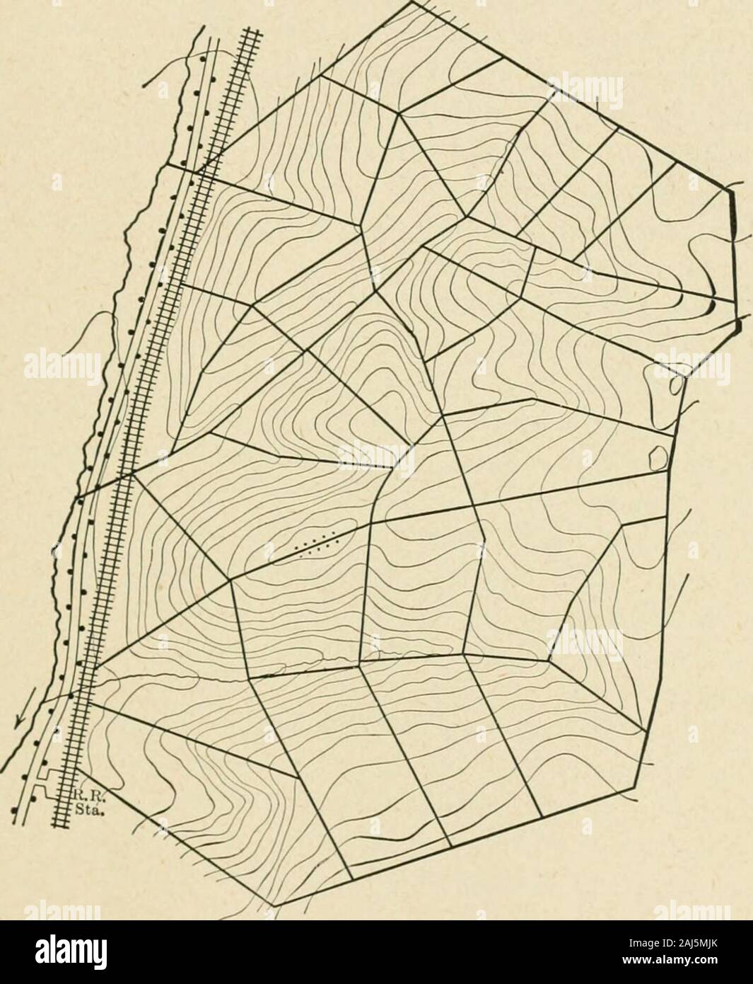 The theory and practice of working plans (forest organization) . SKETCH ...