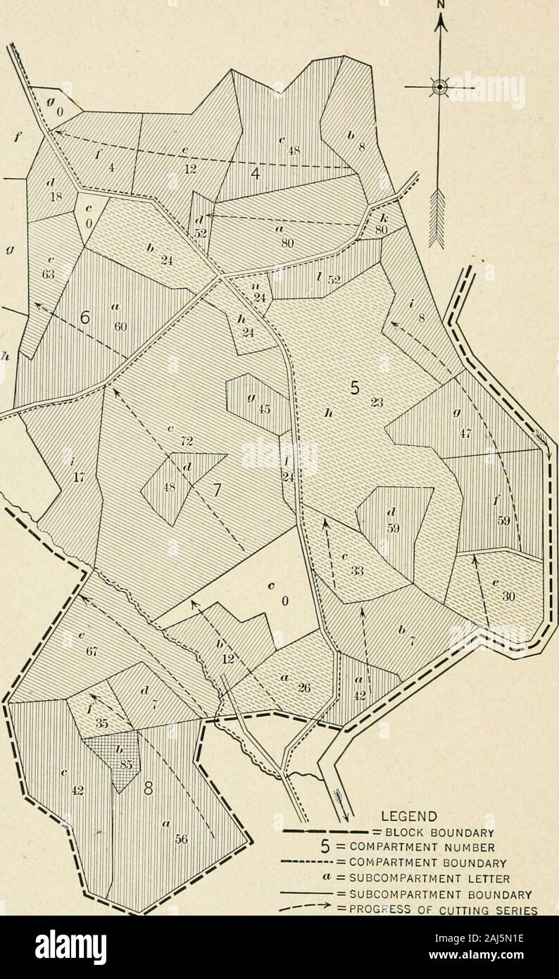 The theory and practice of working plans (forest organization) . p of ...