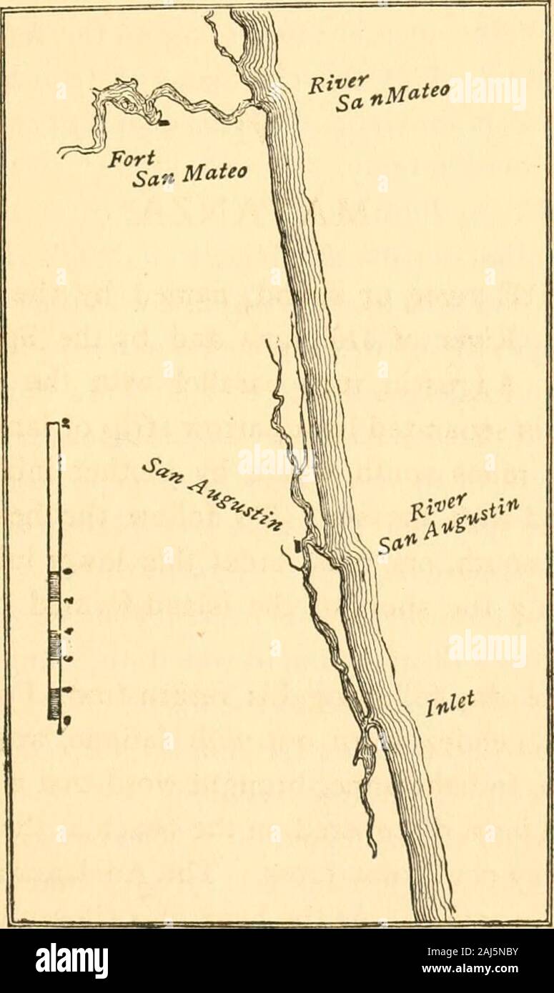 Indian runner cross hi-res stock photography and images - Alamy