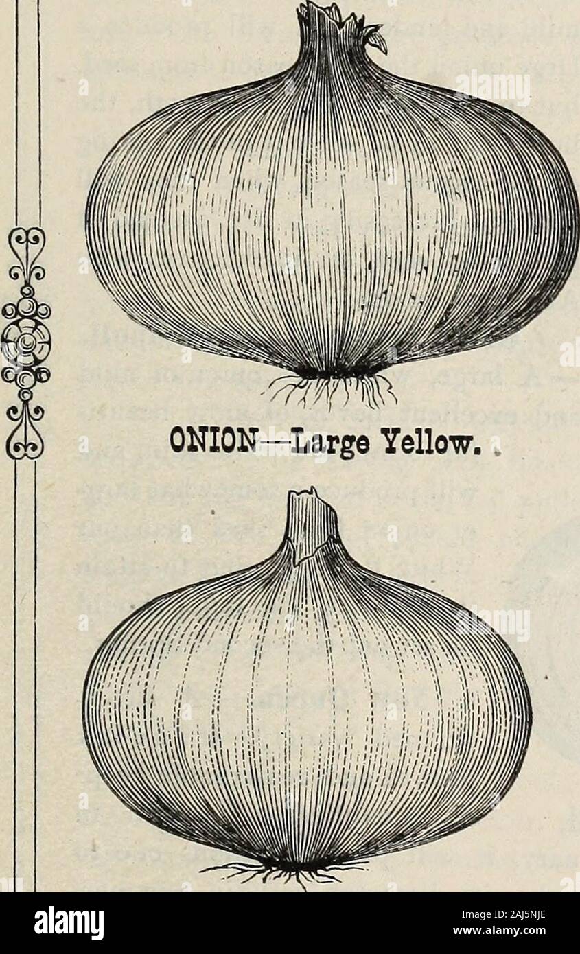 Wethersfield ferry hi-res stock photography and images - Alamy