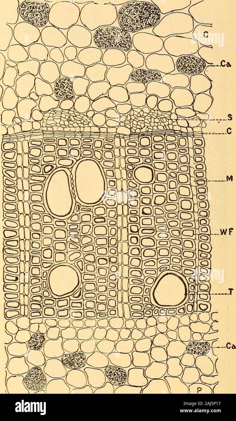 Microcrystals hi-res stock photography and images - Alamy