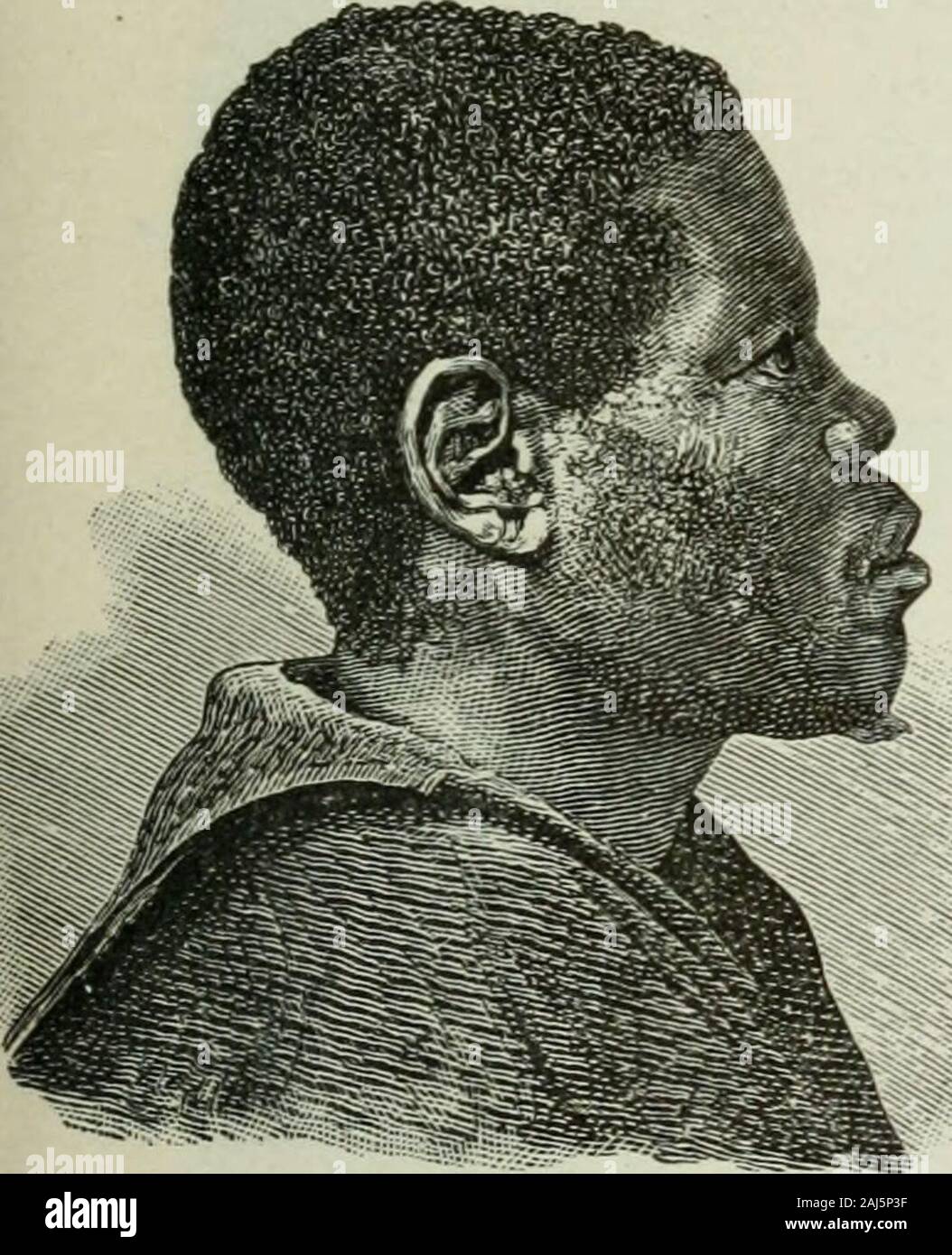 The hottentot man hi-res stock photography and images - Alamy