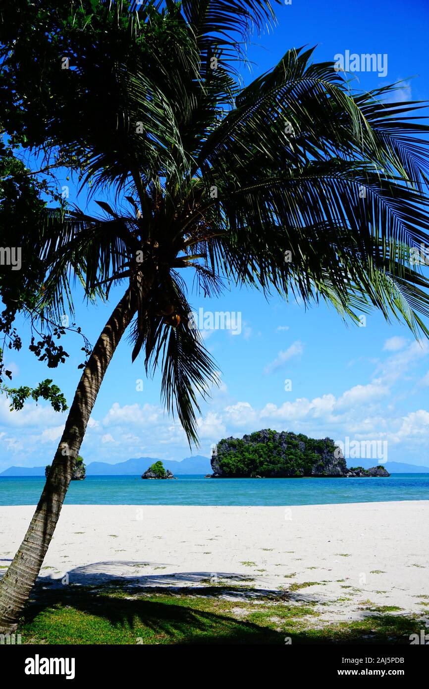 Boat Front View Waves High Resolution Stock Photography and Images - Alamy