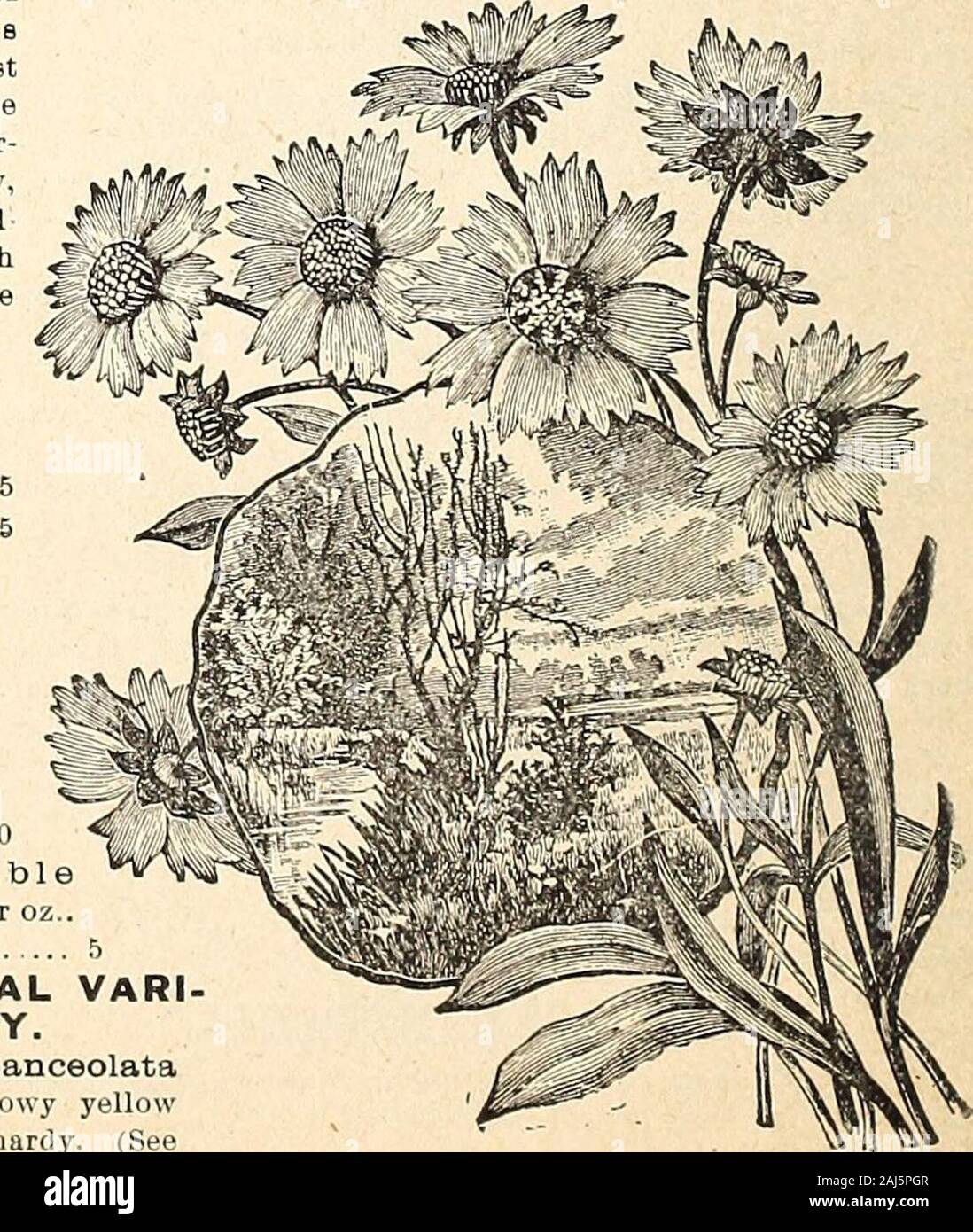 Milky Way Pure Color Chart