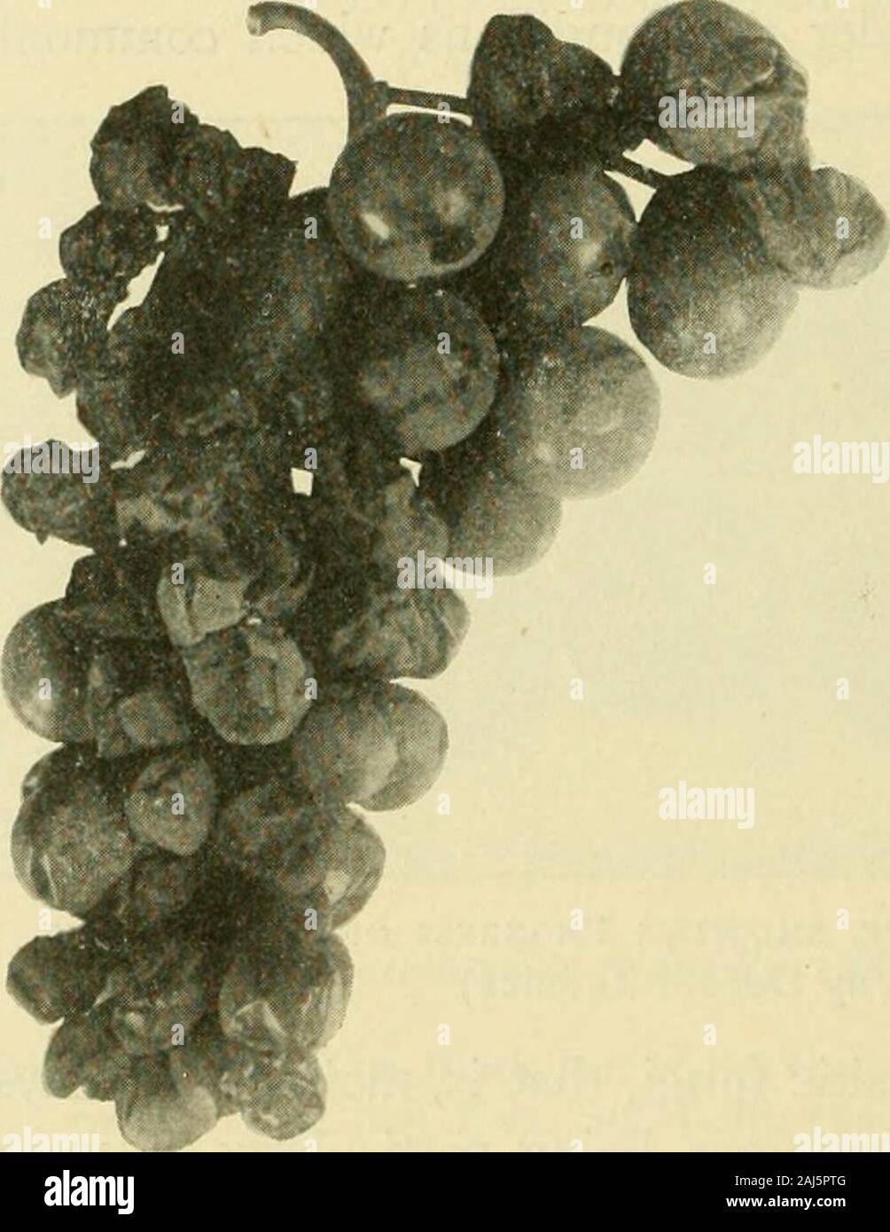 Environmentalconditions hi-res stock photography and images - Alamy