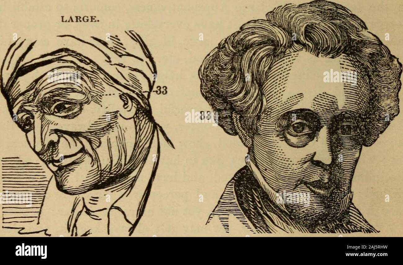 Phrenological faculties hi-res stock photography and images - Alamy