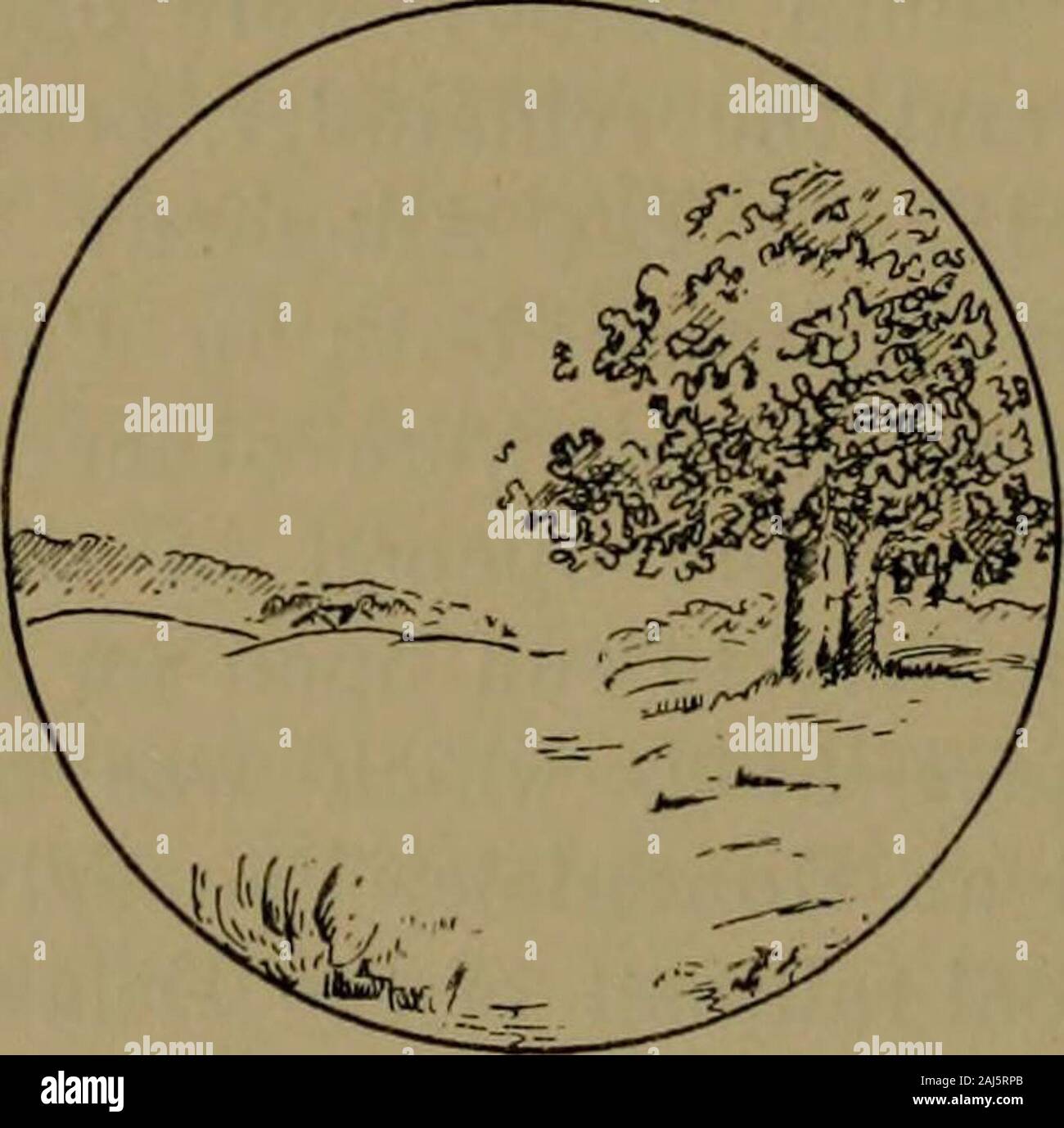 First state railroad 1830 hi-res stock photography and images - Alamy