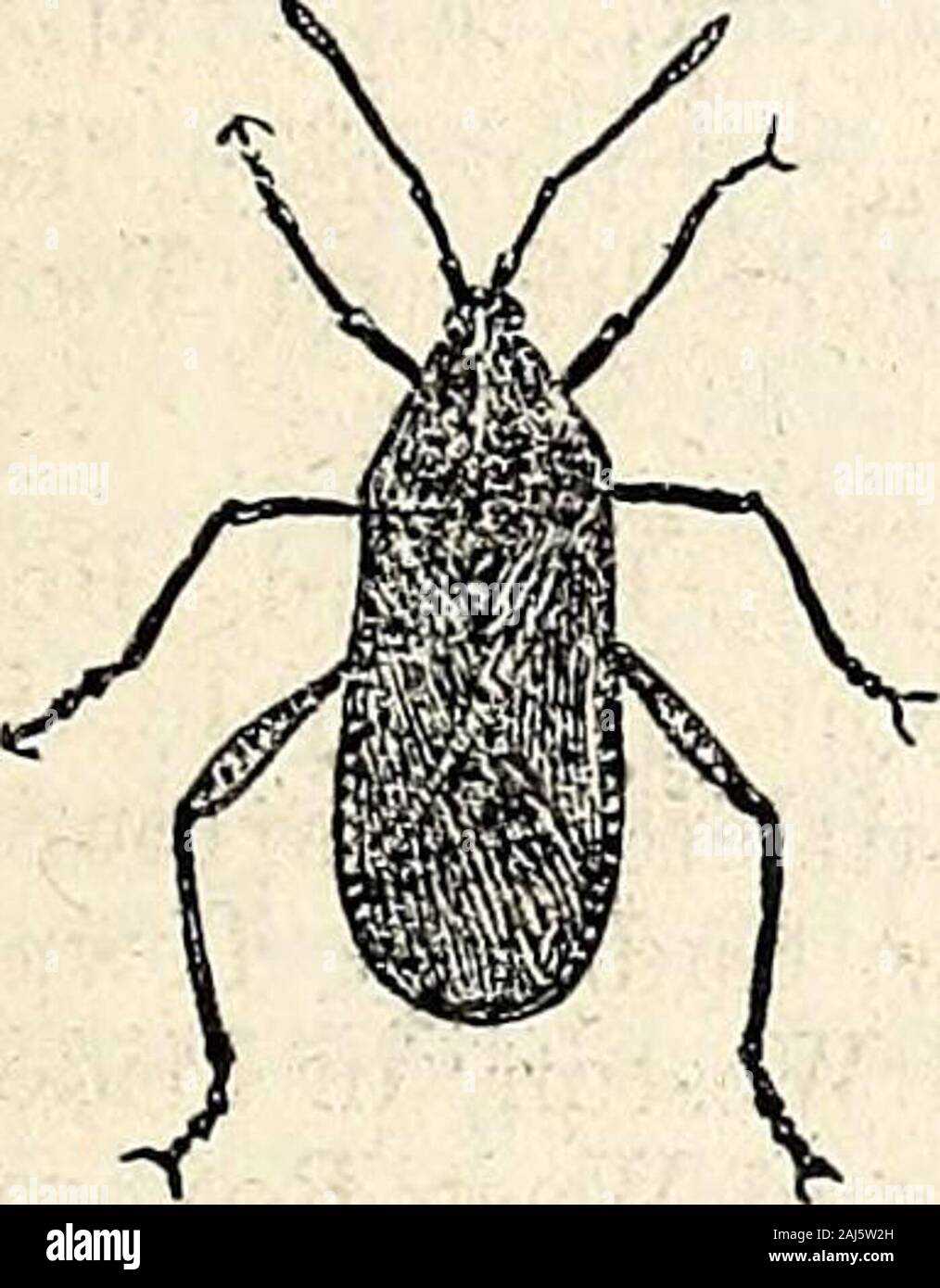 The (old) farmer's almanack Stock Photo - Alamy