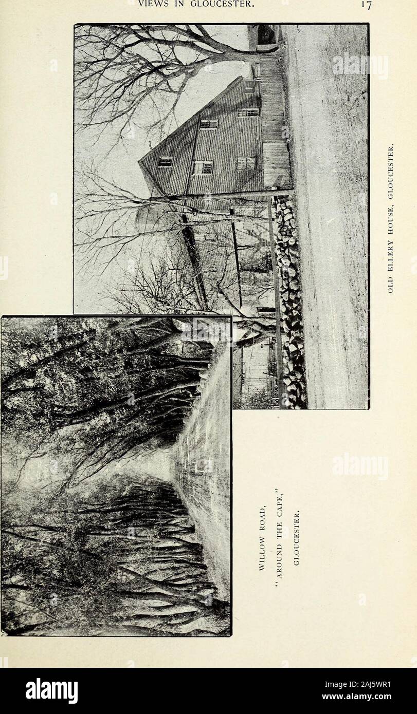 The Robinsons and their kin folk Stock Photo - Alamy