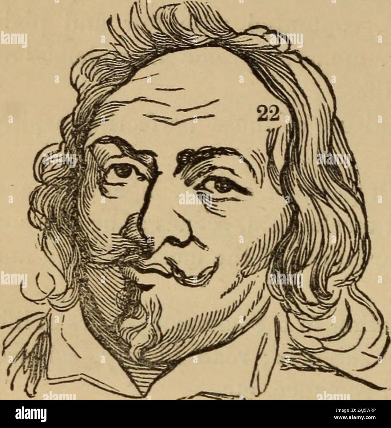 Limners hi-res stock photography and images - Alamy