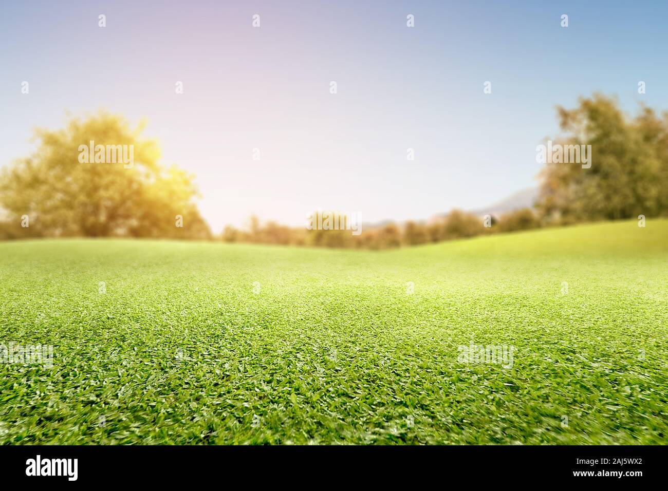Sky And Grass Tree Background