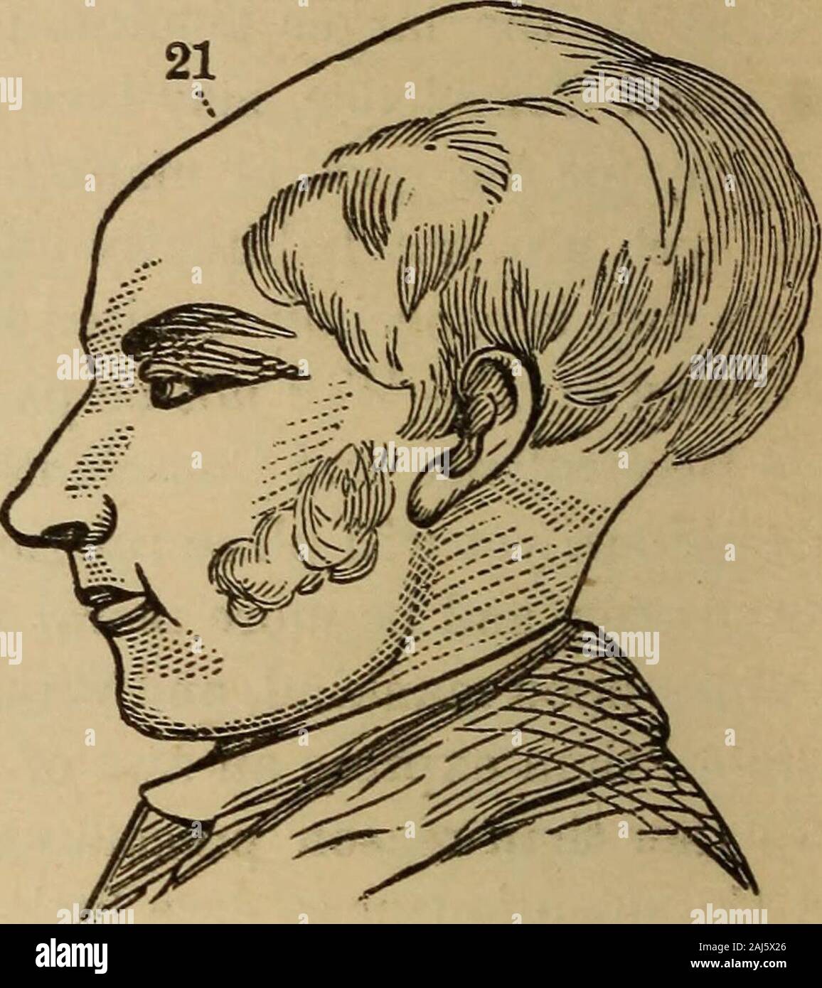 The practical phrenologist and recorder and delineator of the character ...
