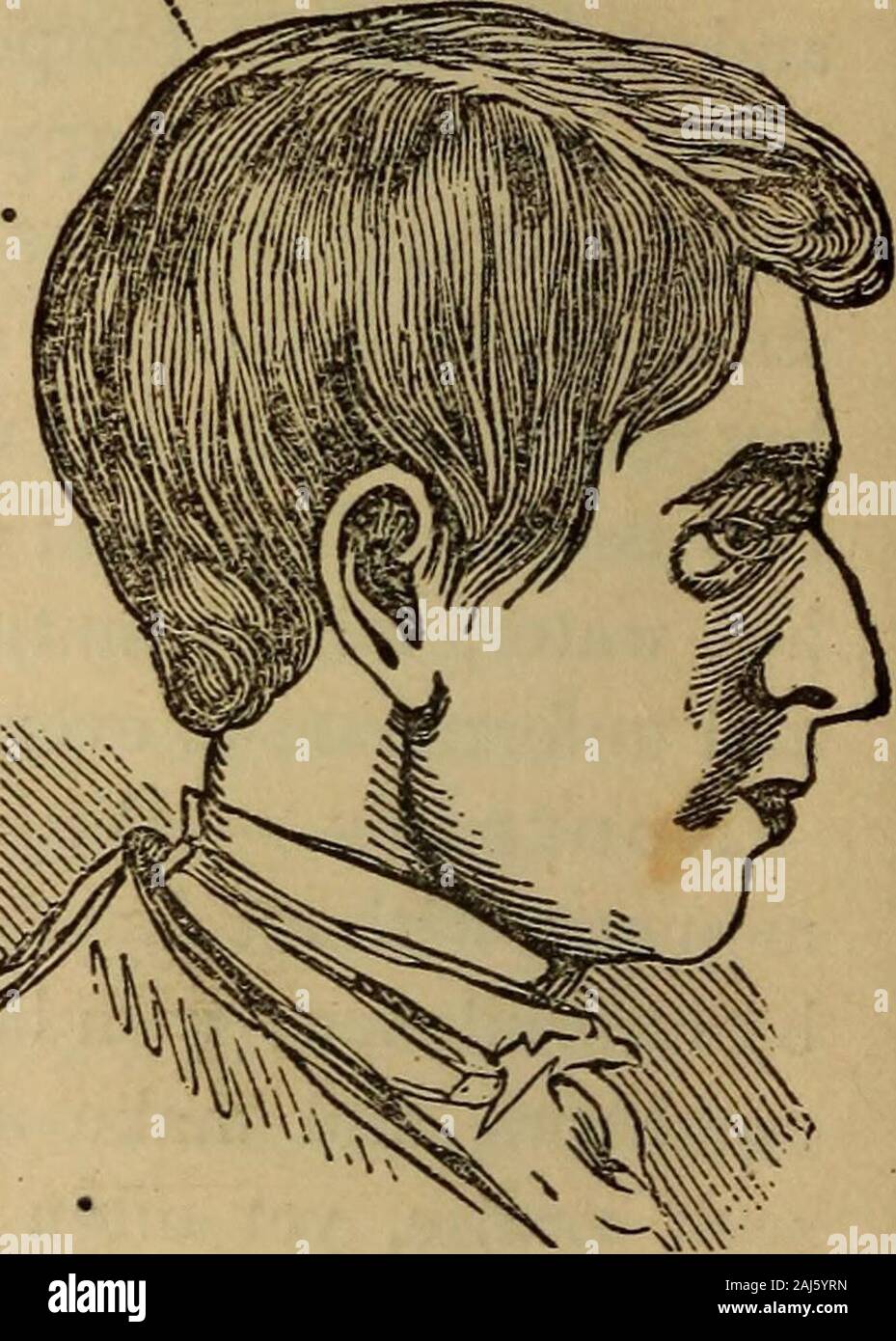 The practical phrenologist and recorder and delineator of the character ...