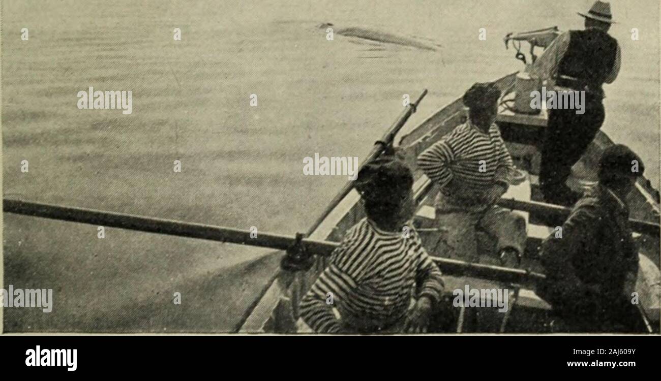 Harpooning Whale High Resolution Stock Photography and Images - Alamy