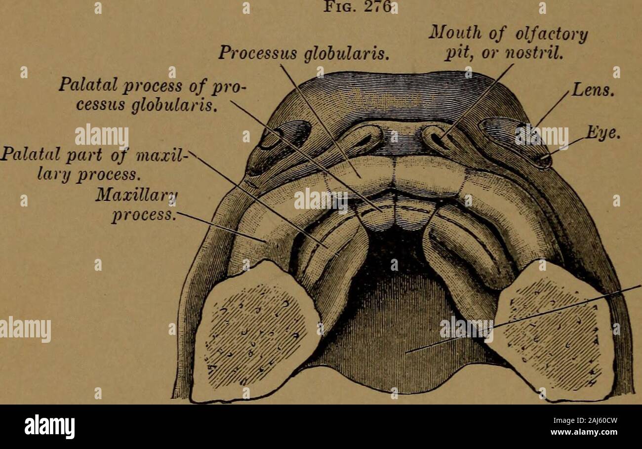 A text-book of dental histology and embryology, including laboratory ...